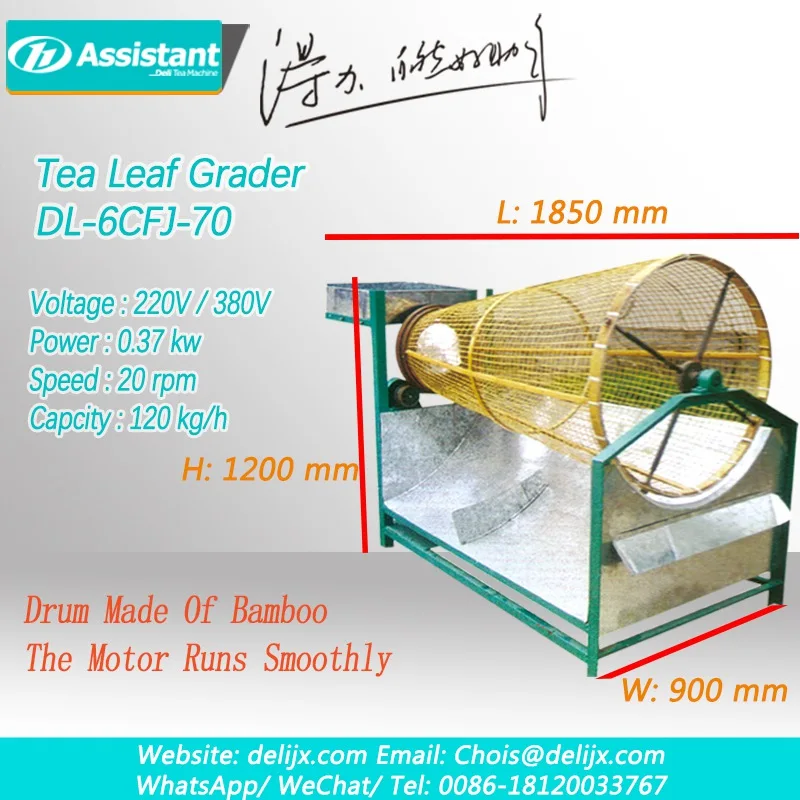 Fresh Tea Leaf Grading Machine - DL-6CQFJ-70 by DELI ASSISTANT