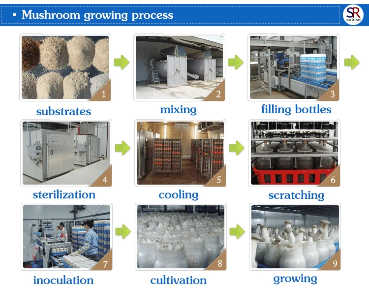 Compound Mixer Mushroom Cultivation Compost Powder Mixing Machine - Buy ...