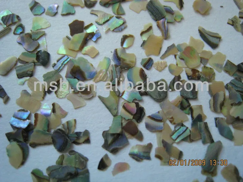 Natural Abalone Paua Crushed Abalone Shell Chips Blanks - Buy Abalone ...