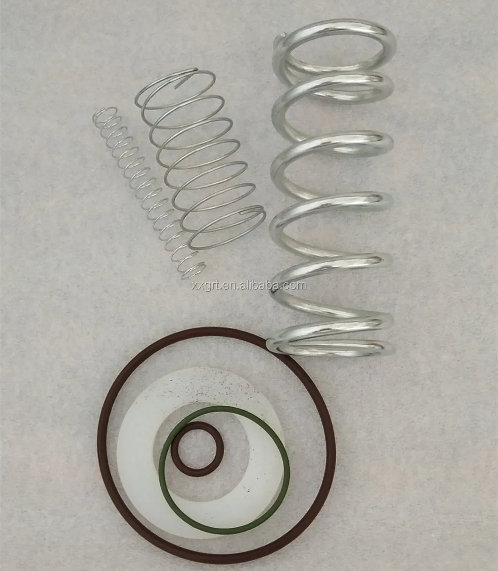 2901145300 Minimum Pressure Check Valve Kit Replacement