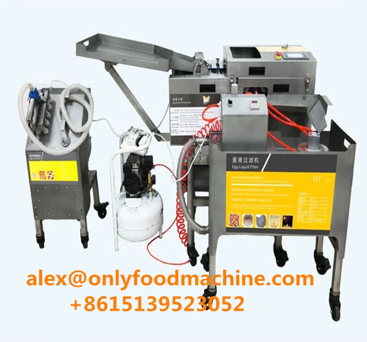 Liquid Egg Production Line for Small Egg Powder Making Pasteurization ...