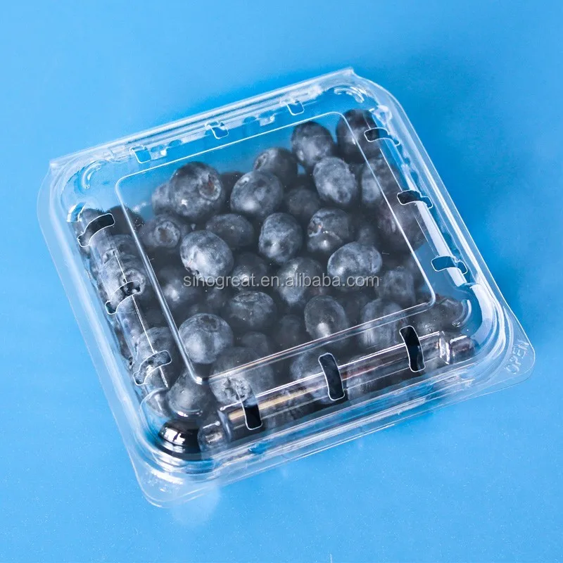 Recyclable Plastic Transparent Blueberry Packing Box Raspberry Stock ...