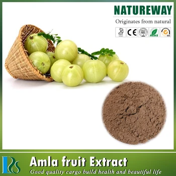 High Quality Emblica Officinalis Fruit.extract P.e,Emblica Officinalis ...