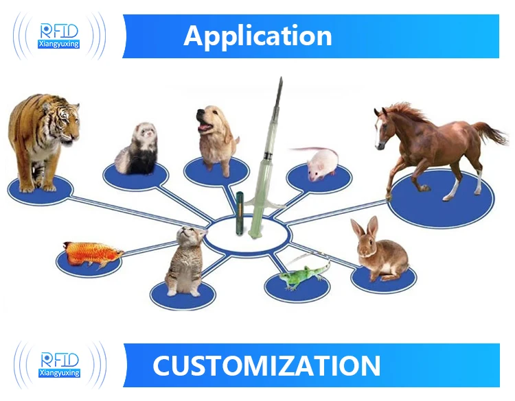 Injectable Chips Nfc Implant Pet Rfid Animal Microchip Dog Chip Animal ...