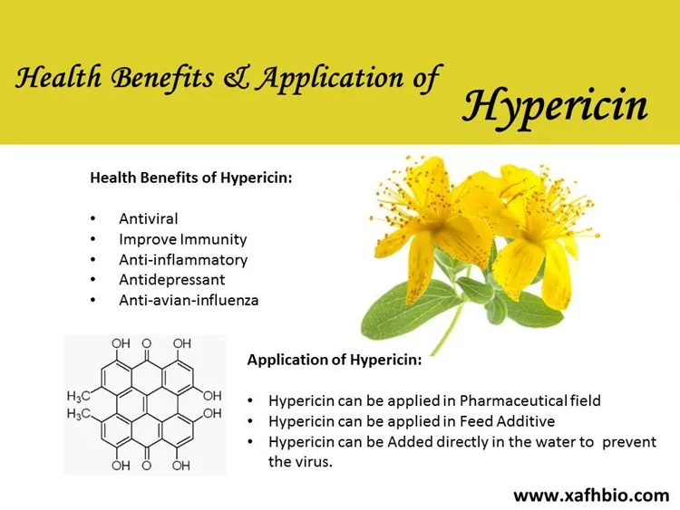 Natural Anti-depression Hypericum Perforatum Extract 0.3% Hypericin ...
