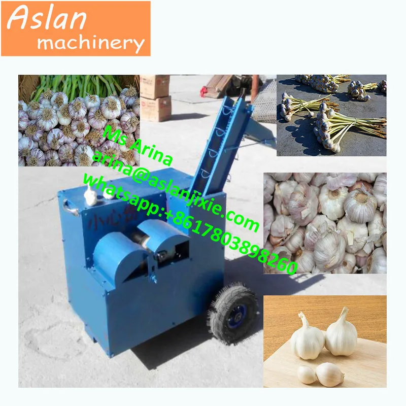 Dry Garlic Root And Stem Cut Machine/ Onion Top And Tail Cutter/ Flat ...