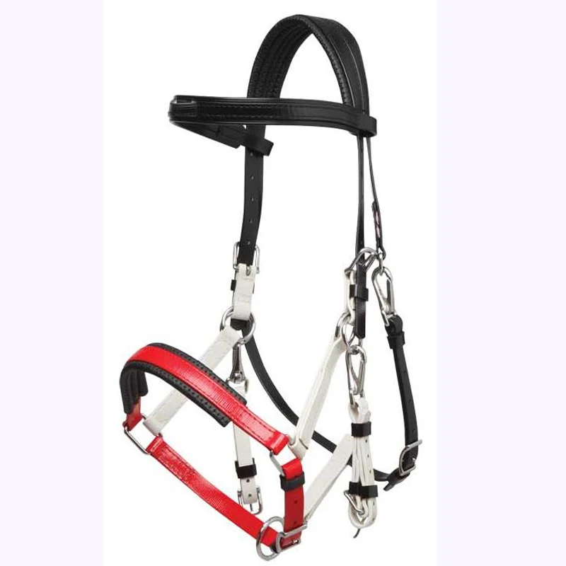 Western Bridle on Horse - Durable Red PVC Horse Bridle