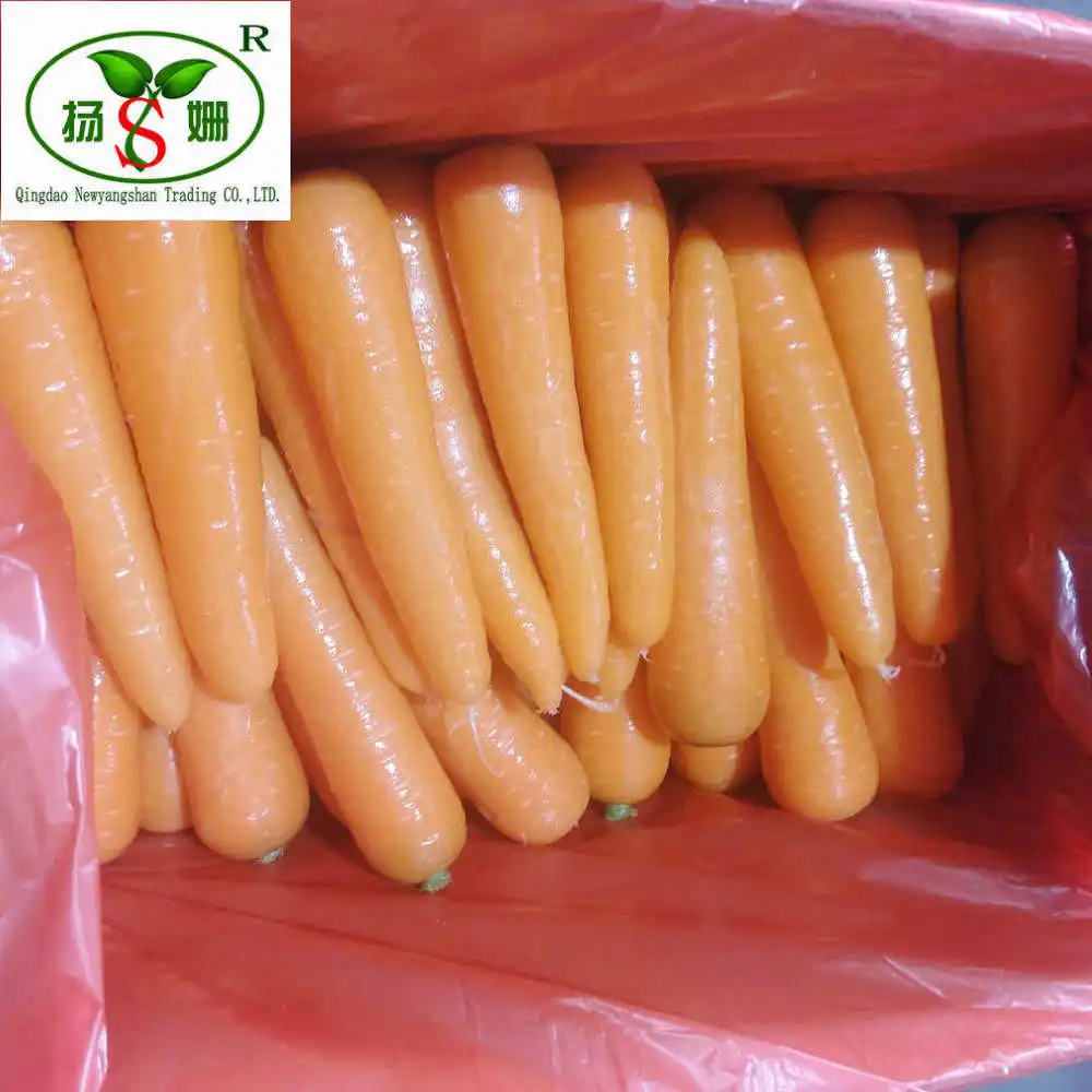 China Highest Quality Carrot For Export - Buy 2019 Highest Quality ...