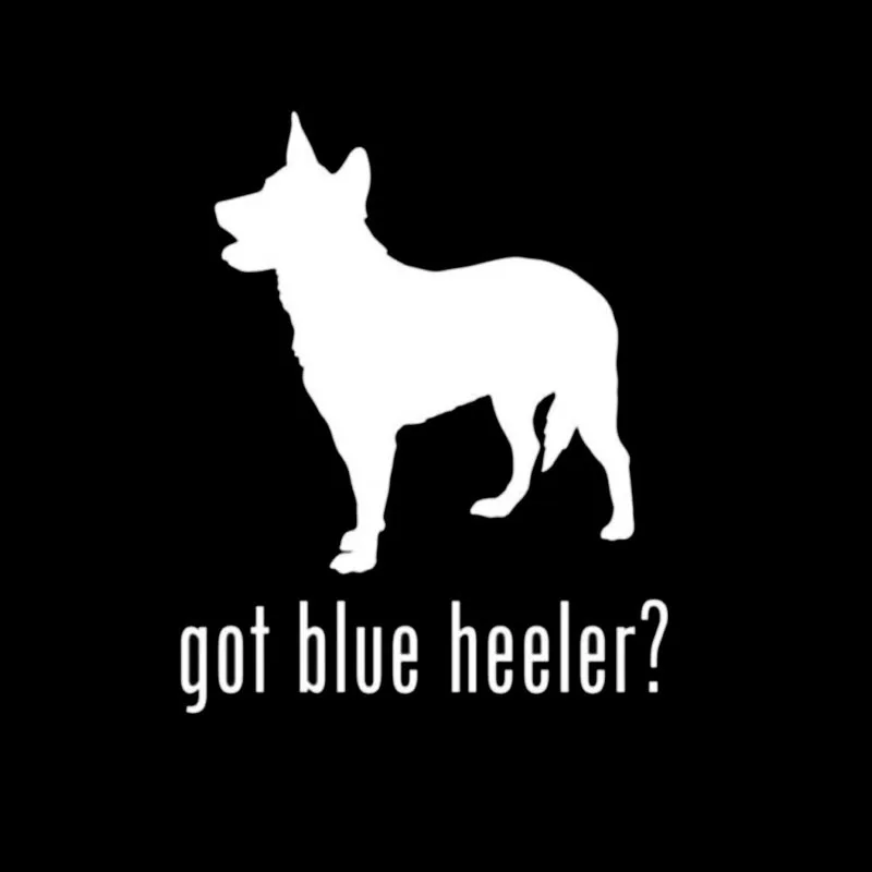 Decal Sticker Baby On Board Blue Heeler Paper & Party Supplies Paper ...