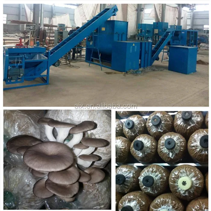Best Price Mushroom Packaging Machine/oyster Mushroom Machine/mushroom ...