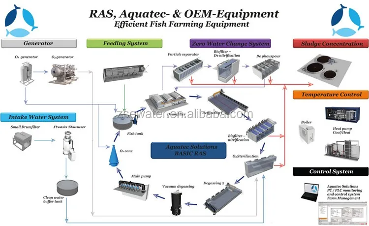 Ras/recirculation Aquaculture System Layout Design/indoor Fish Farming ...