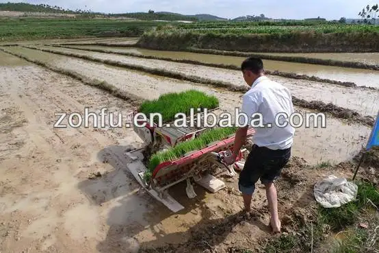 2 Rows Hand Operated Rice Transplanter/rice Planter/paddy Planting ...