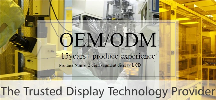 LCD Display Numbers - 15 Segment Display, 12 Segment Display