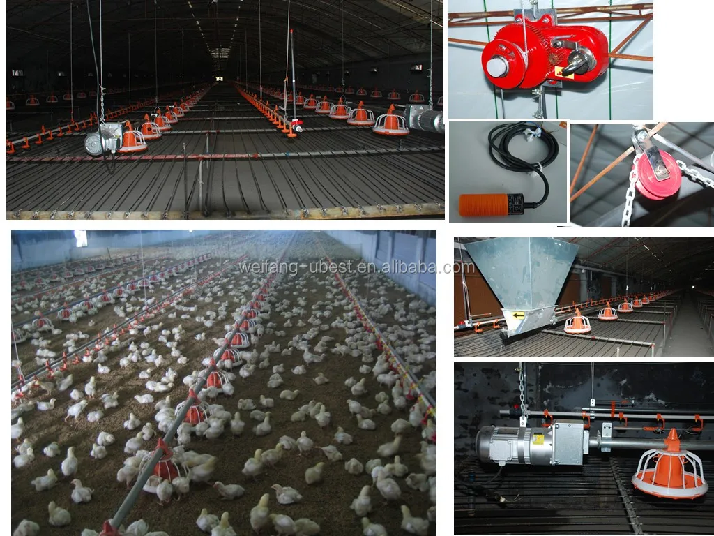 Modern And Advanced Automatic Poultry Farm Equipment For Broiler ...