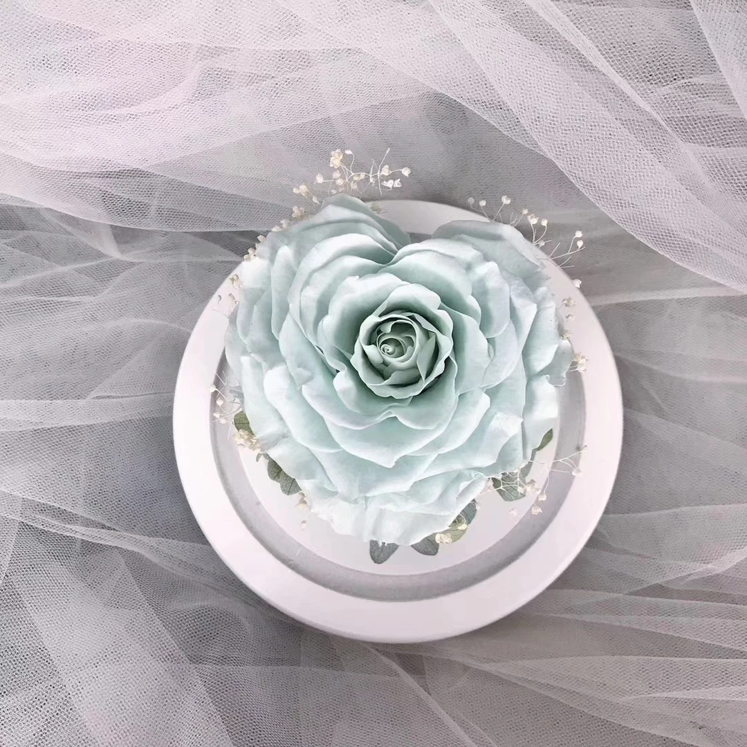 Love Eternity Stabilized Preserved Roses In Glass Tubes Dome For ...