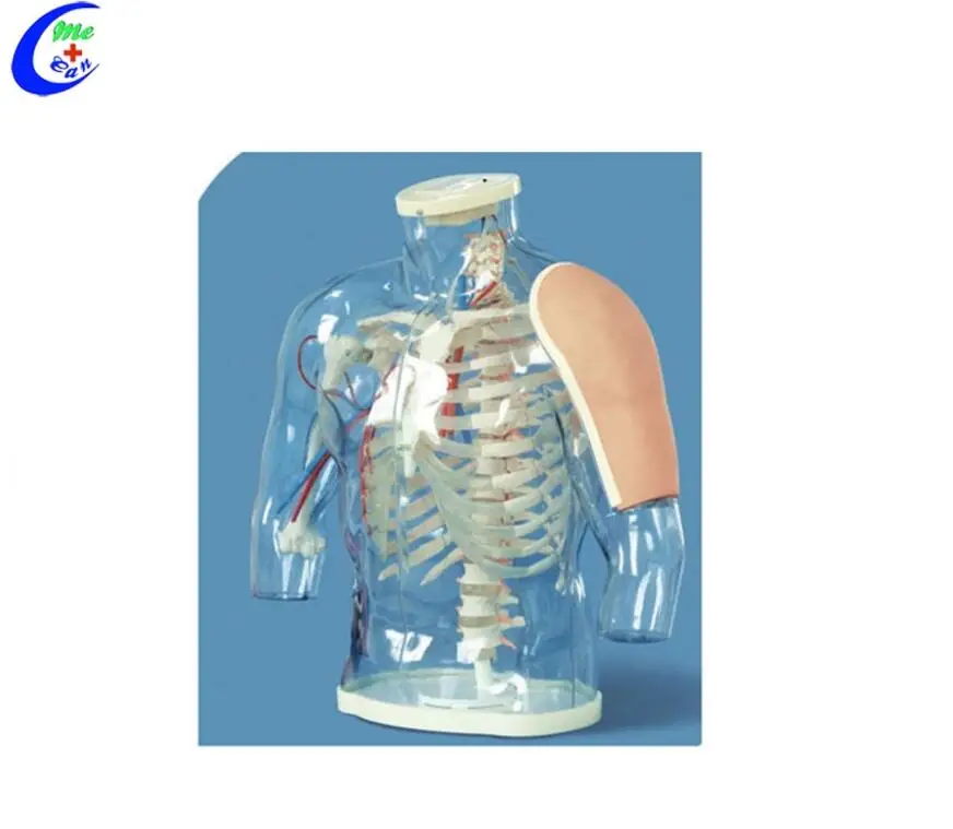 Buttock Intramuscular Injection Training Simulator - Effective Learning ...