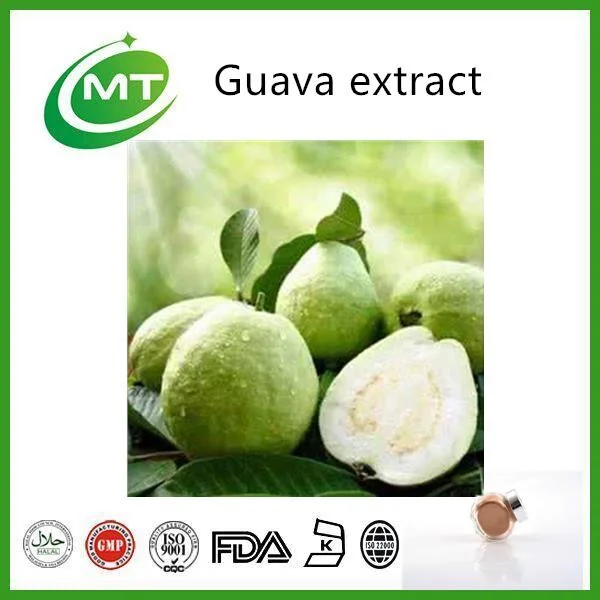 100% Pure Psidium Guajava L. Powder/hot Sale Guava Extract - Buy Best ...