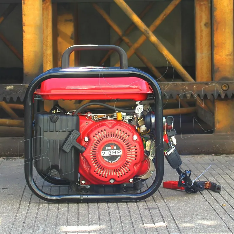 Bison Brushless Dc Generator Dc Motor 48v Generator - Buy Dc Motor 48 ...