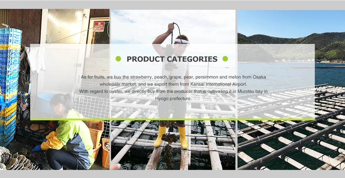 Company Overview - ASIA-PACIFIC PRODUCE CO., LTD.