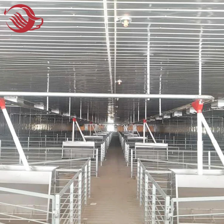 Piggery Cage / Organic Pig Farming / Breeding Crate for Pigs Wholesale ...