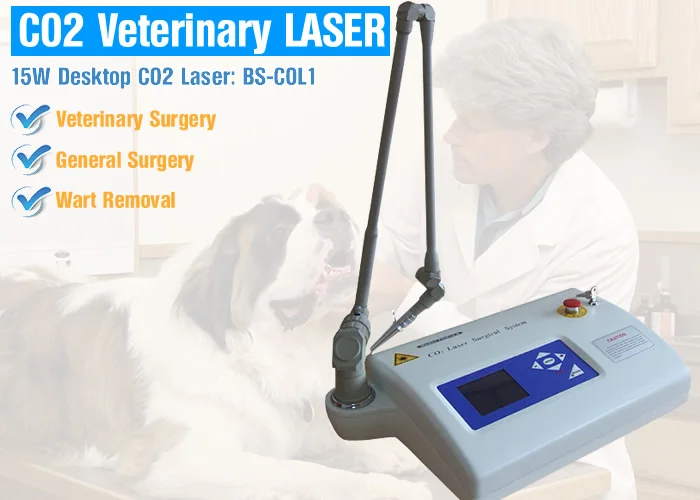 Veterinary Co2 Laser Treatment For Animals - Buy Veterinary Co2 Laser ...