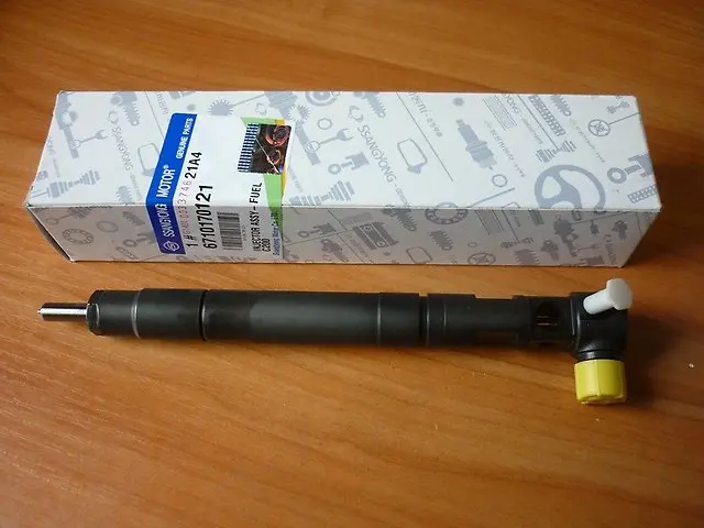 Injector A6710170121 6710170121 Embr00301d 7135-583 Shuanglong - Buy ...