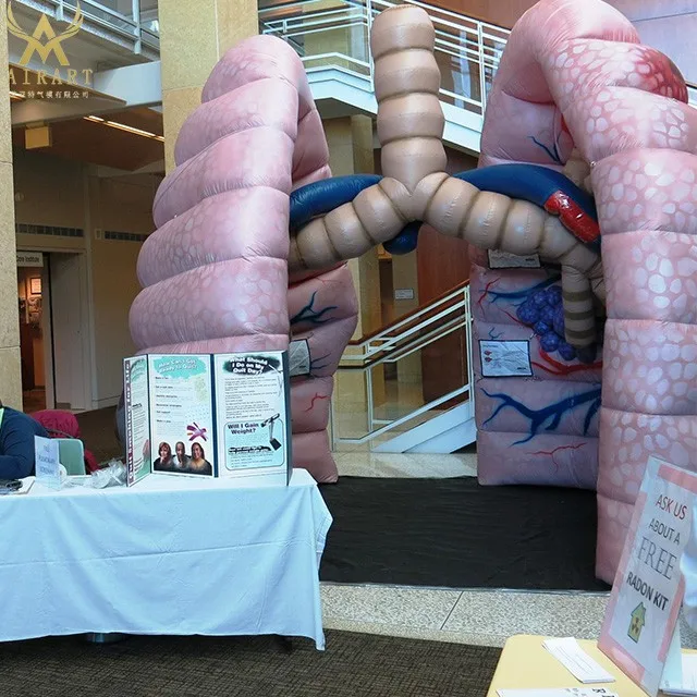 Lifelike Inflatable Lungs Model Balloon - Buy Giant Size Teaching ...
