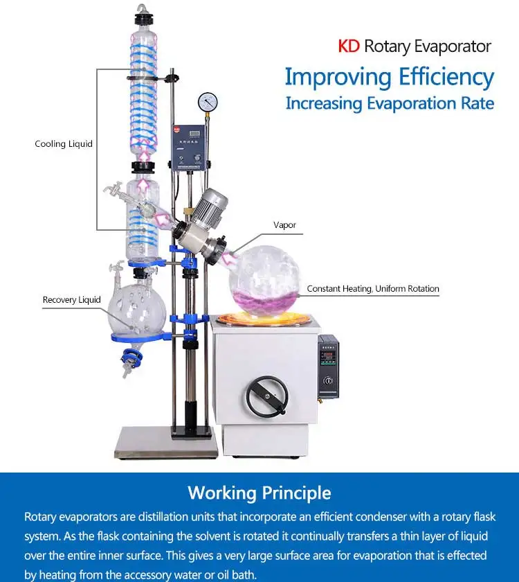 Pharaceutical Vacuum Herbal Extract Concentrator - Buy Herbal Extract ...