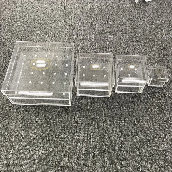 Custom Acrylic Flower Boxes - Durable and Stylish Display