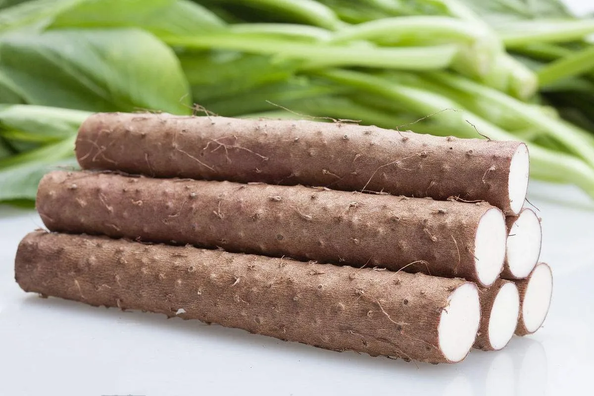 100% Natural Hot Selling Yam Powder/wild Yam Powder/chinese Yam Powder ...