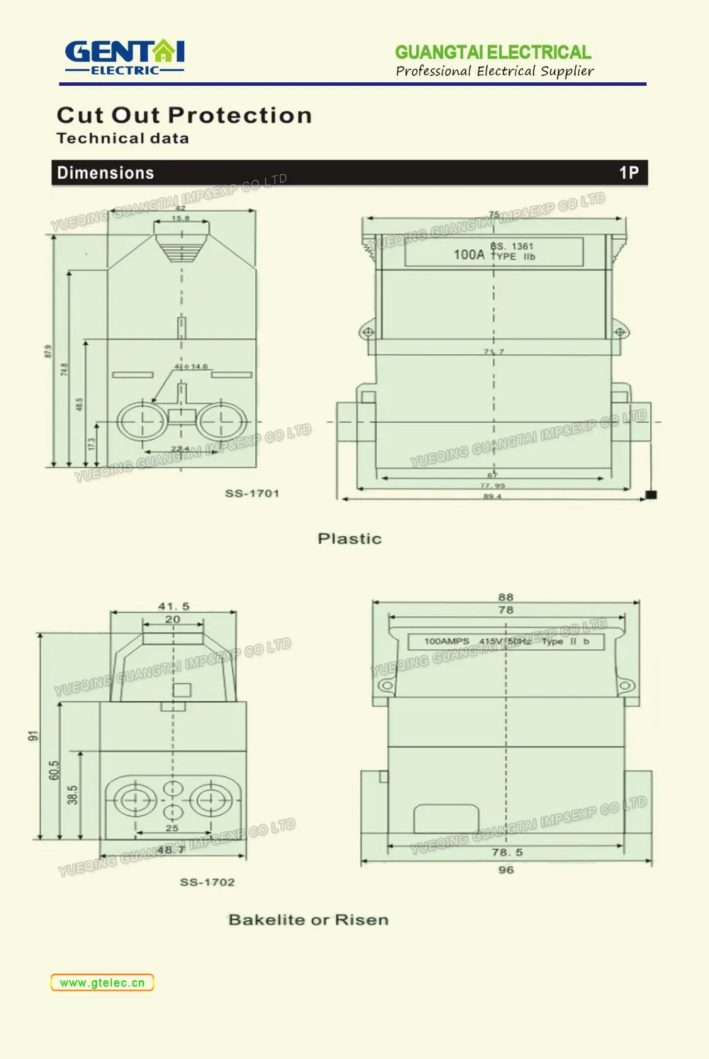 Low Voltage Cut Out Fuse 60a 80a 100a 1p+n Spn Pn Cutout Fuse - Buy 60 ...