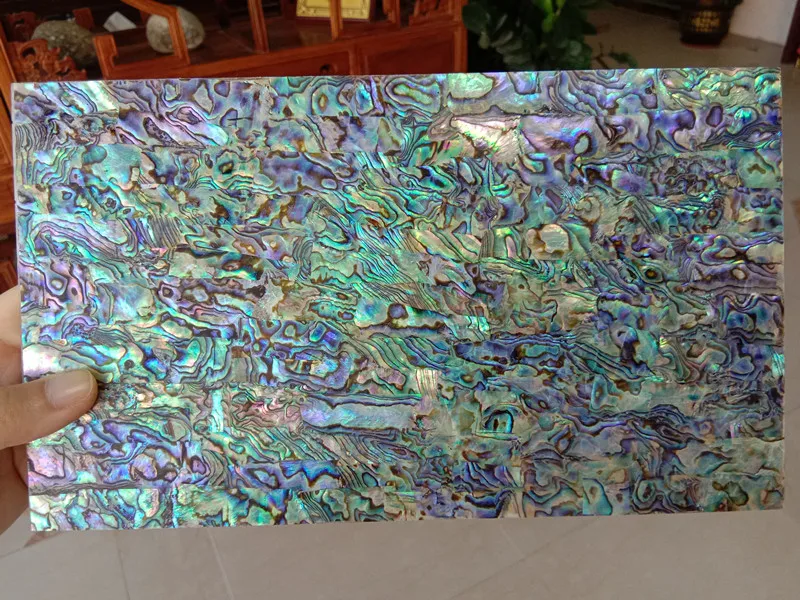 Abalone Shell,Shell Paper Mosaic Paper Sheet Adhesive Shell Sheetshell ...