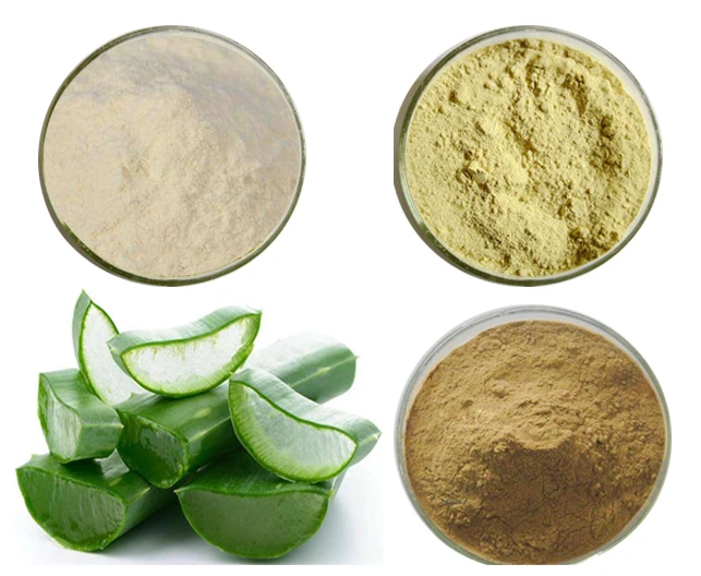 Best Aloe Vera Extract /aloin Extract Powder 10% 40% 90% Free Sample ...