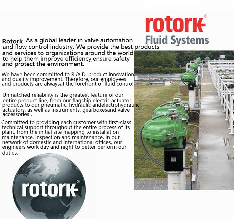 Rotork Regulating Type Electric Actuated Double Flange Expansion ...