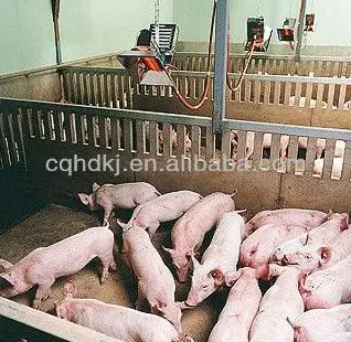 Efficient Infrared Gas Brooder Heater for Animal Husbandry
