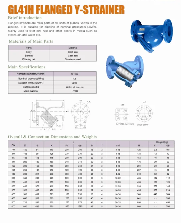 DN40-DN500 Cast Iron Flanged Y-Strainer with Stainless Steel Filter Valves