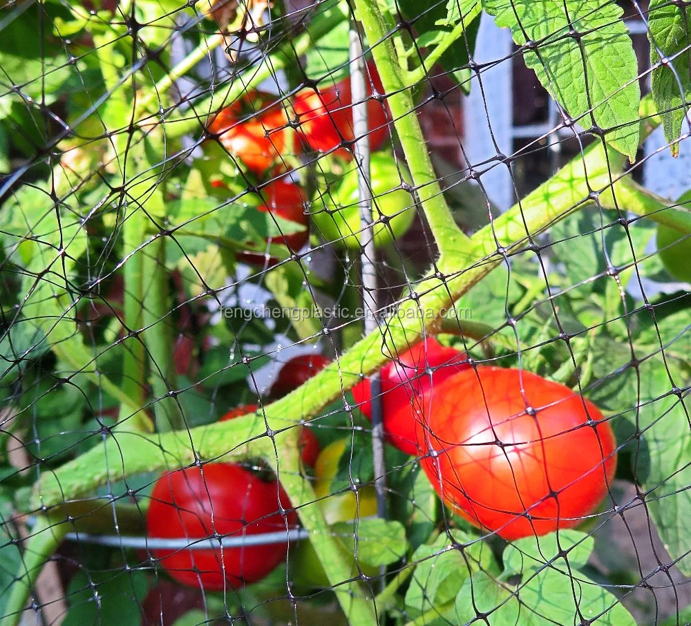 Black Woven Knotless Invisible Pond Net - Buy Knotless Nylon Net ...