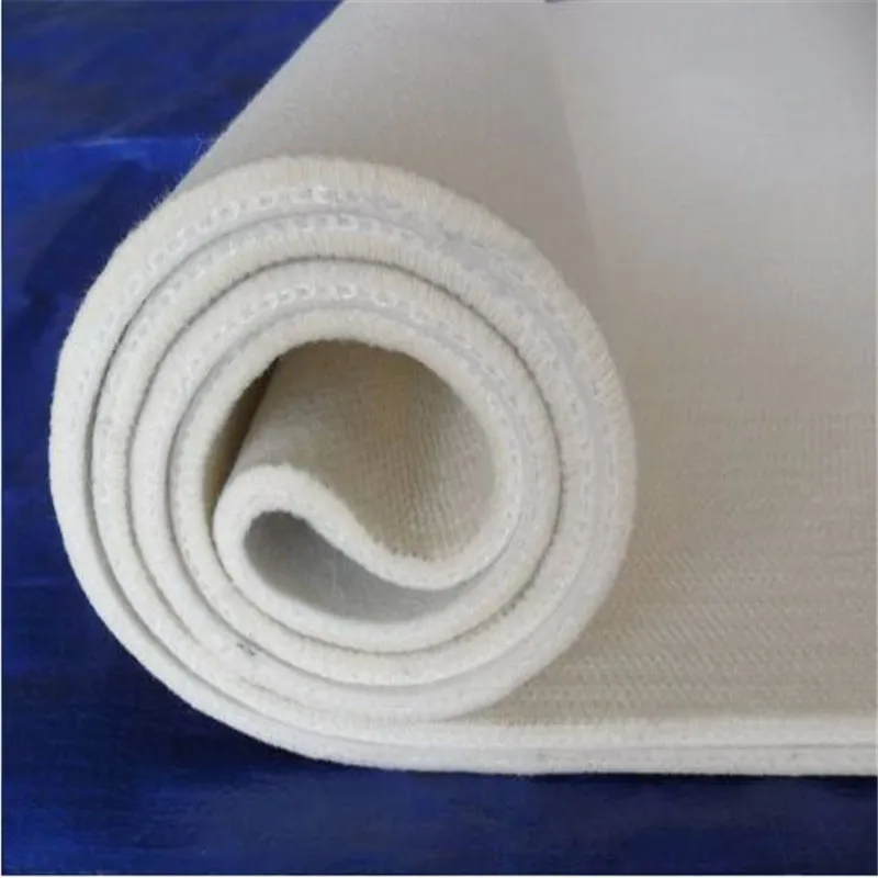 Endless Needle Seamless Nomex Belt - Durable & Versatile