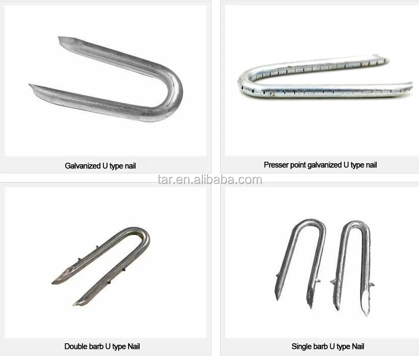 High Quality U Type Nails - Durable Fence Staples