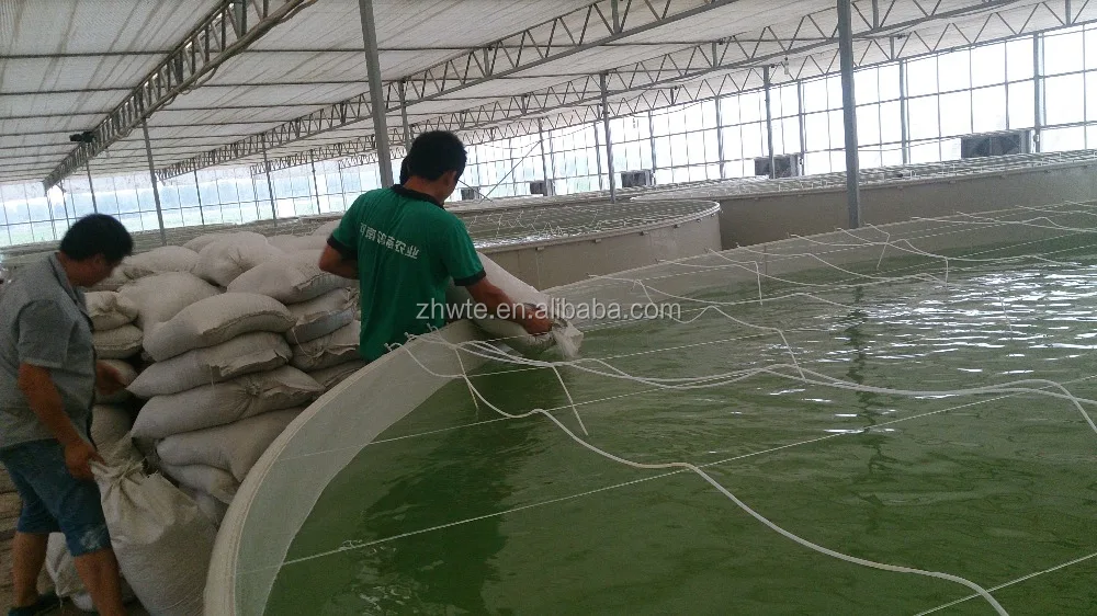 Pp Plastic Fish Tank /pp Fish Tank/live Fish Tank - Buy Pp Fish Tank ...