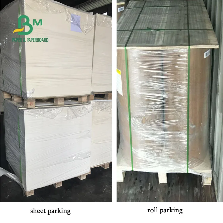 200g to 400g C1S Ningbo Fold Paper Board SBS Ivory Paper