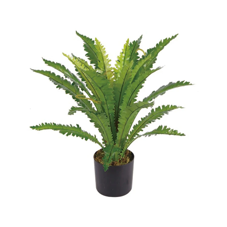0.5m Nest Fern Small Artificial Plant in Pot| Alibaba.com