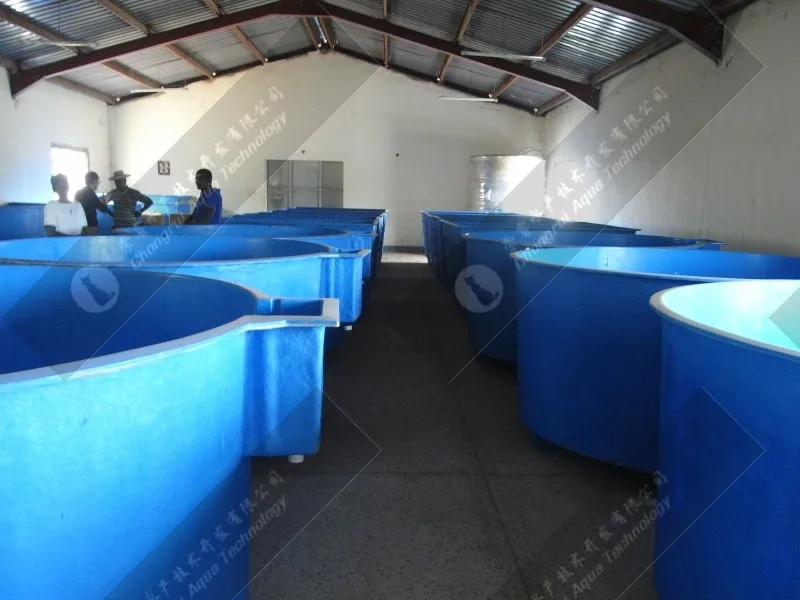 Wholesale Best Price Large Plastic Fish Aquaculture Tanks - Buy Fish ...