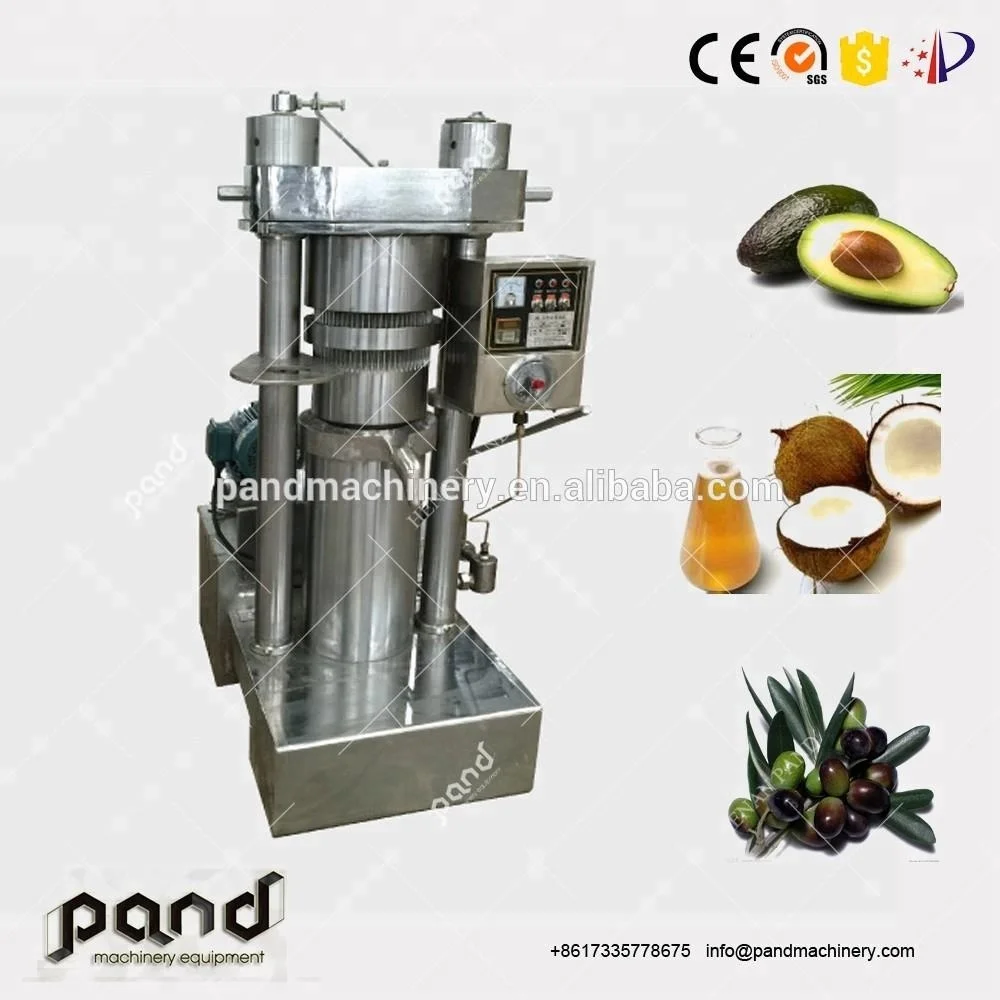 Hydraulic 50KG/H Olive Oil Press Machine - Efficient & Durable