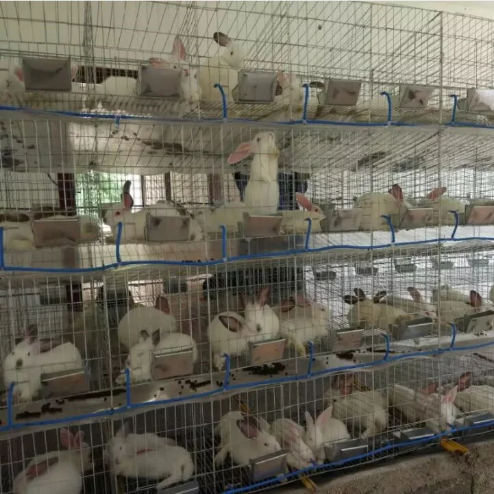 Durable Industrial Breeding Rabbit Cages - 3/4 Tiers