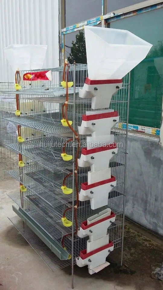 Deliver to Your Home! Automatic Quail Cage for Breeding Quails HJ ...