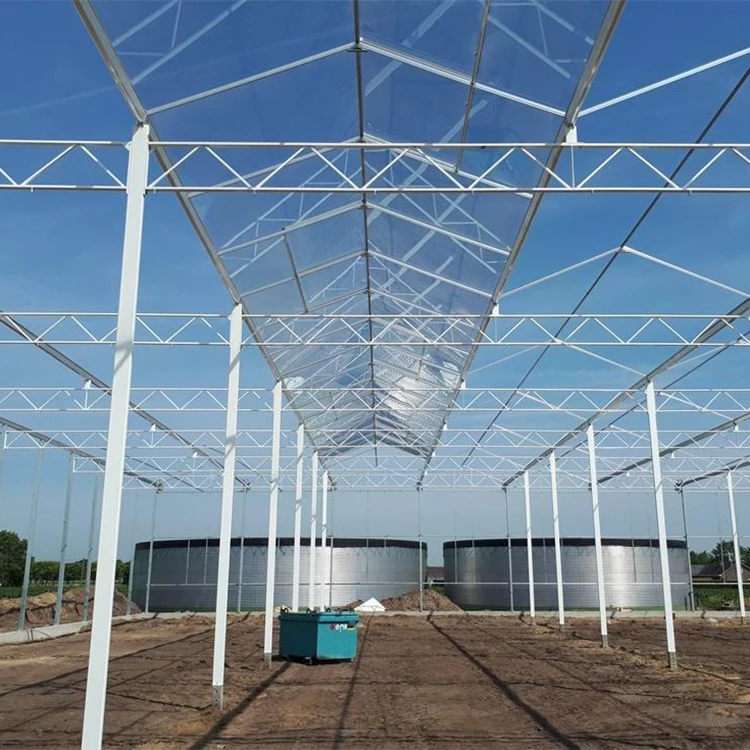 Long Life Galvanized Steel Frame Greenhouse - Buy Galvanized Steel ...