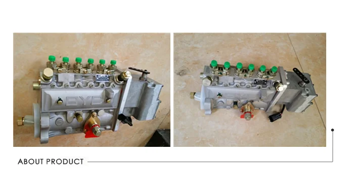 Asimco Tianwei BYC Fuel Pump 4988395 for DCEC 6BT5.9-G2 Diesel Engine ...