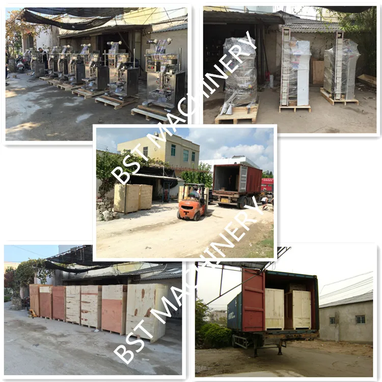 Bst-320lb Automatic Raisin Cordial Packing Machine Dry Fruit Berries ...