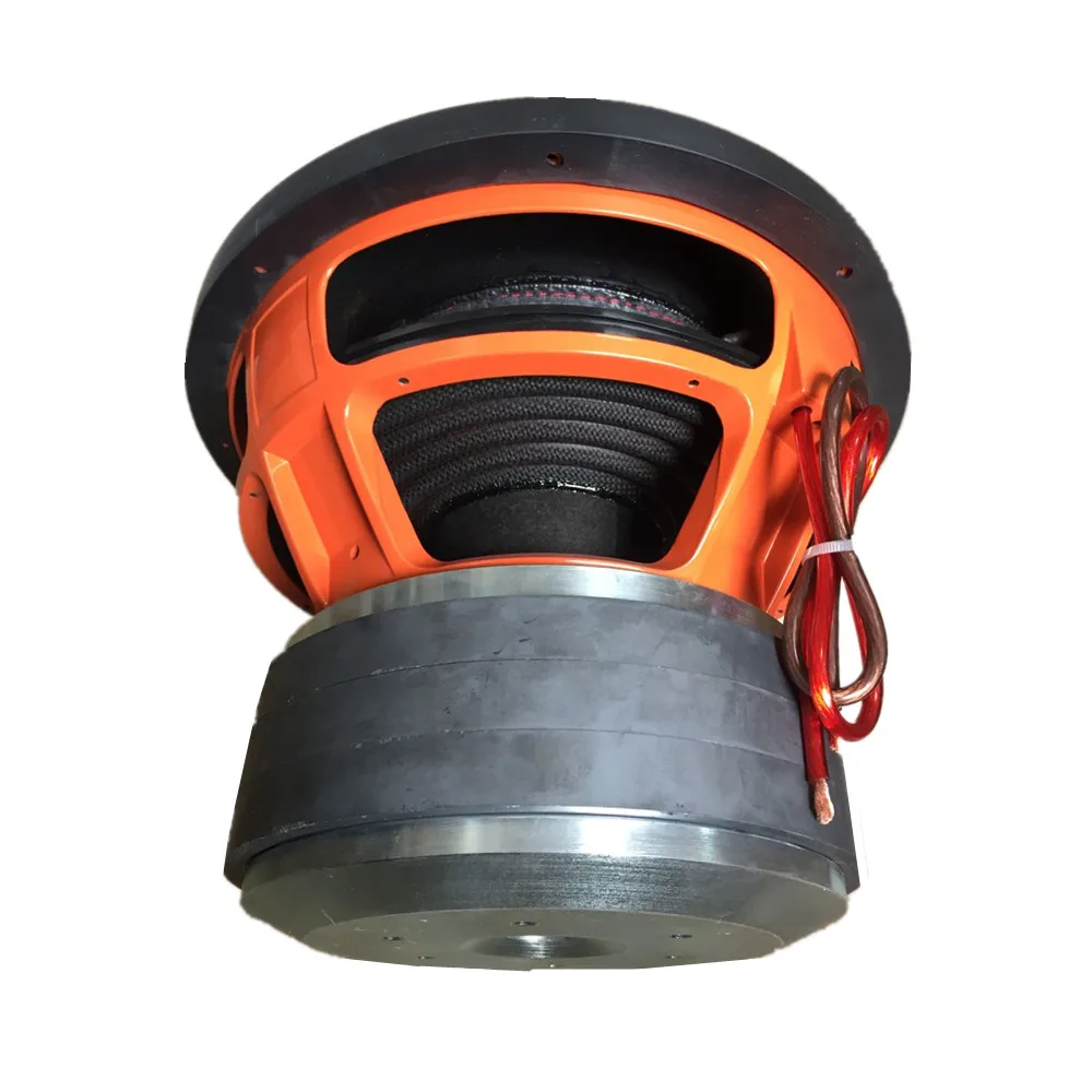 Big Powerful 12 Inch Subwoofer for Car PA - AC Schnitzer